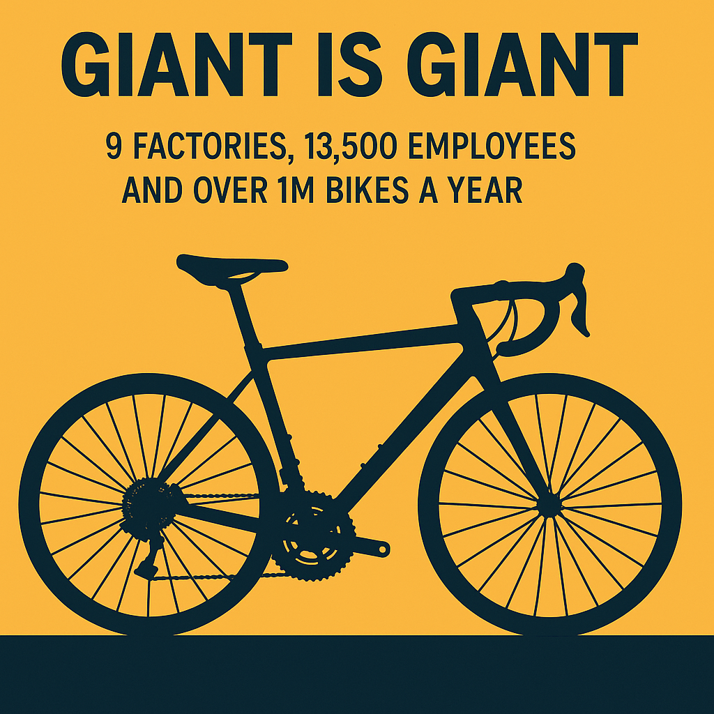 State of the Industry: Giant Manufacturing's Q2 results - Jeff Brines